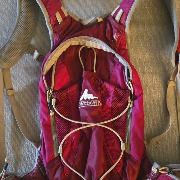 Gregory | Bags | Gregory 6l Backpack | Poshmark